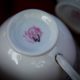 Porcelain Fine Seyei China Set - EVERNIQ