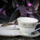 Porcelain Fine Seyei China Set - EVERNIQ